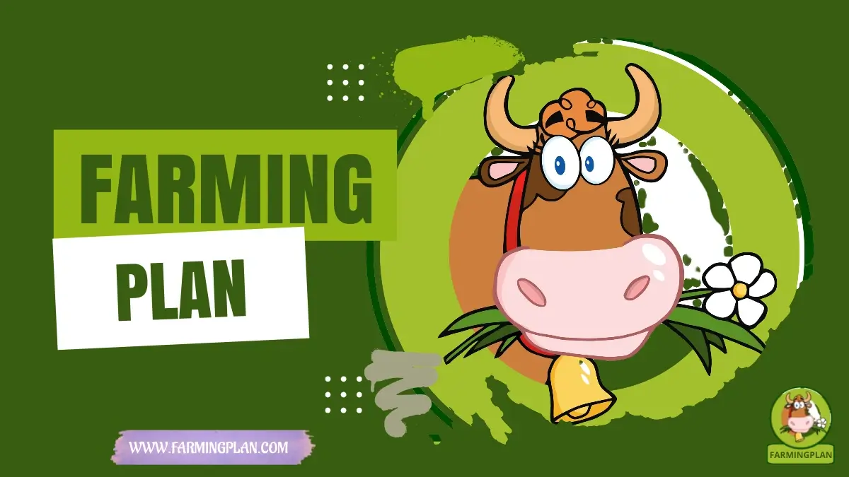 Layer Poultry Farming: Basic Guidelines | Farming Plan